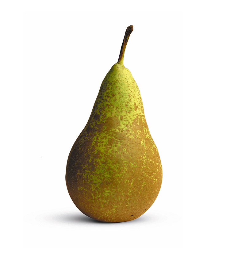 Biofruits - Poire Conférence | Idéale à la cuisson