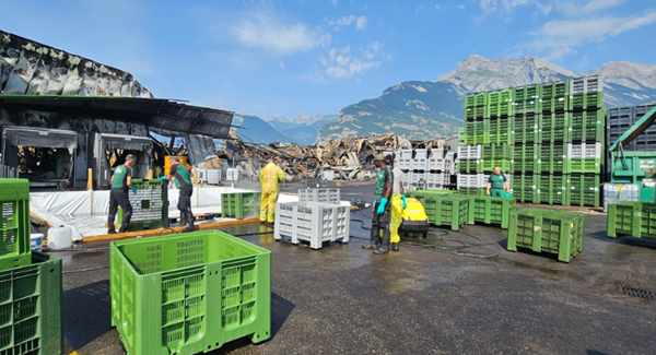 La reconstruction de Biofruits Les différentes évolutions depuis l ...